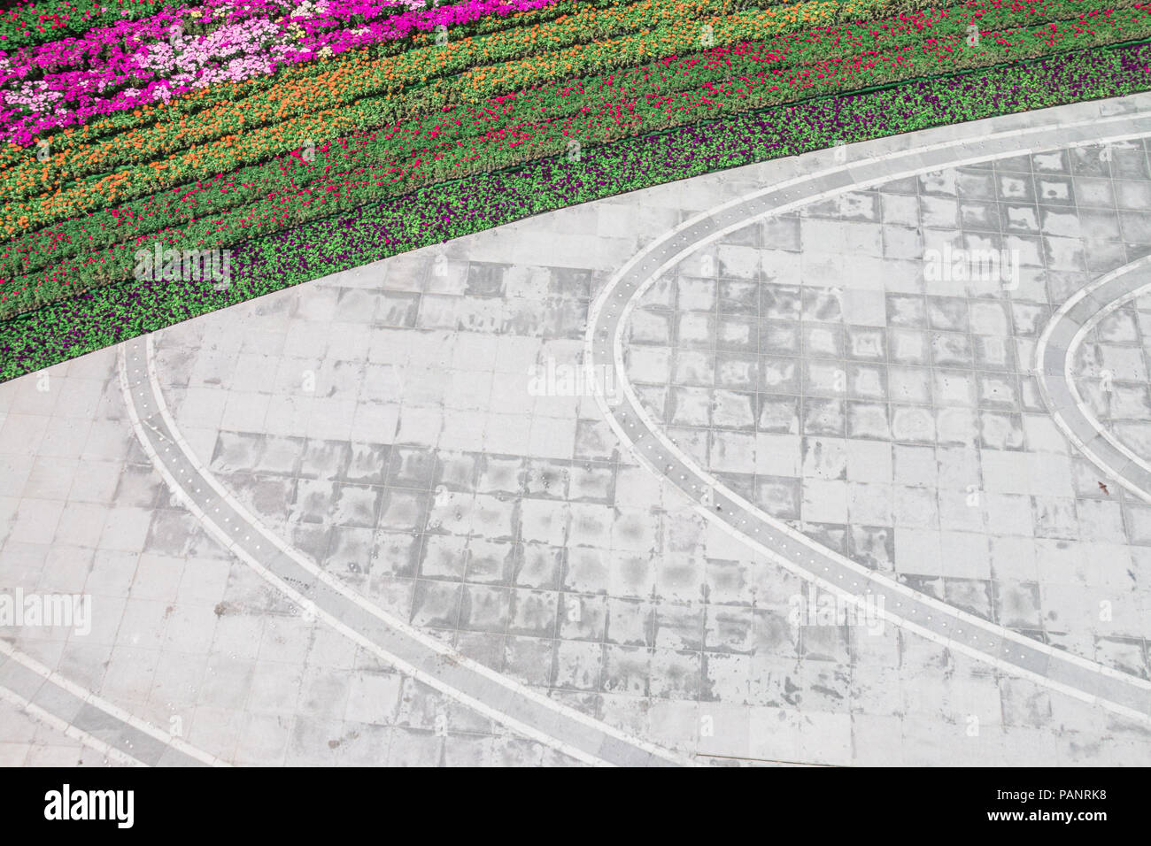 Colorful flowers and pavement Stock Photo - Alamy