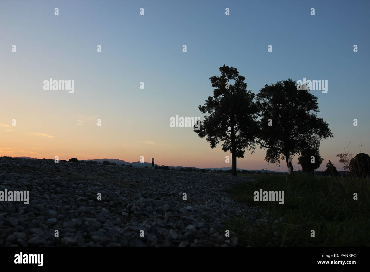 2 two trees hi-res stock photography and images - Alamy