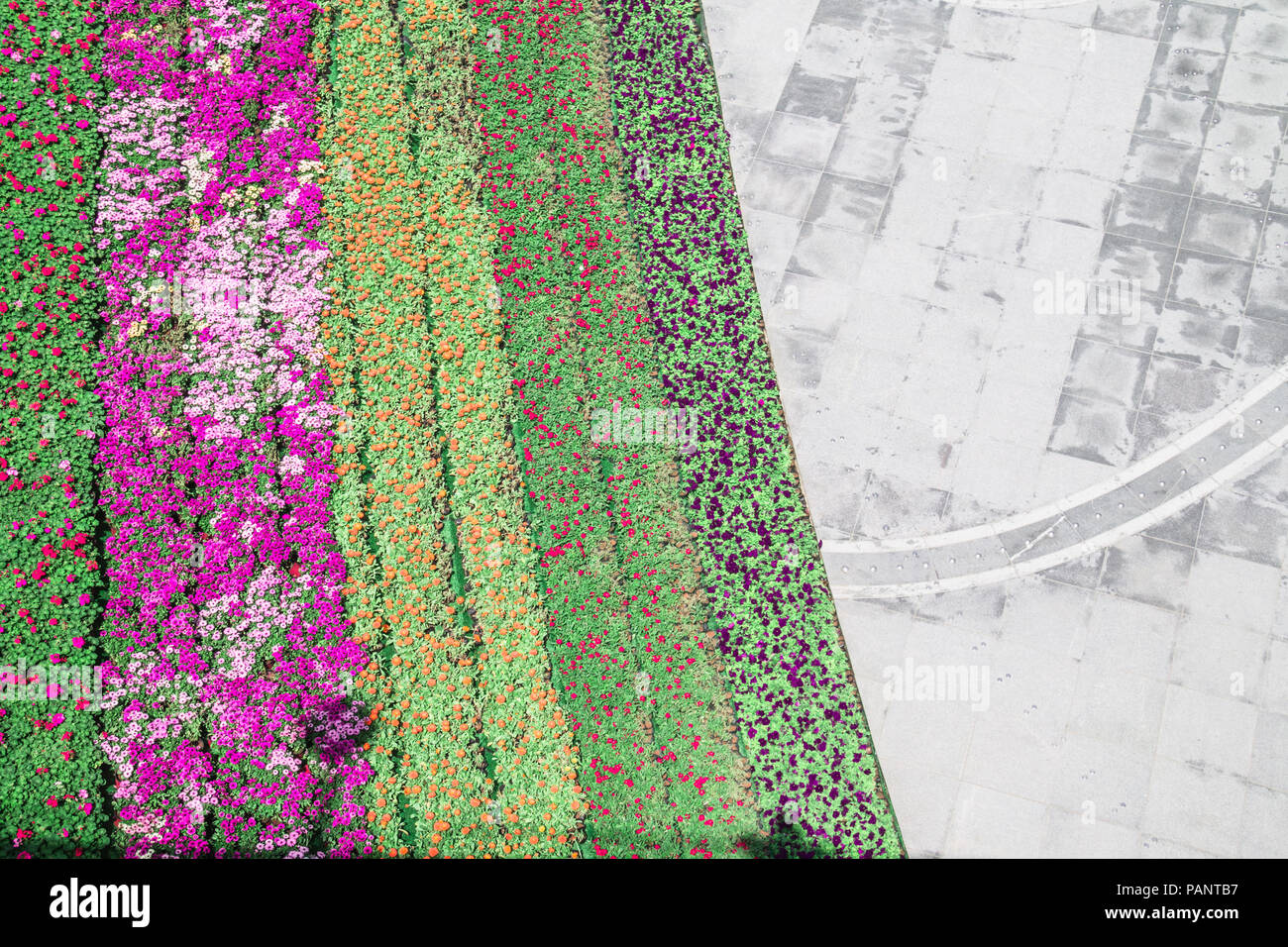 Green grass and pavements hi-res stock photography and images - Alamy