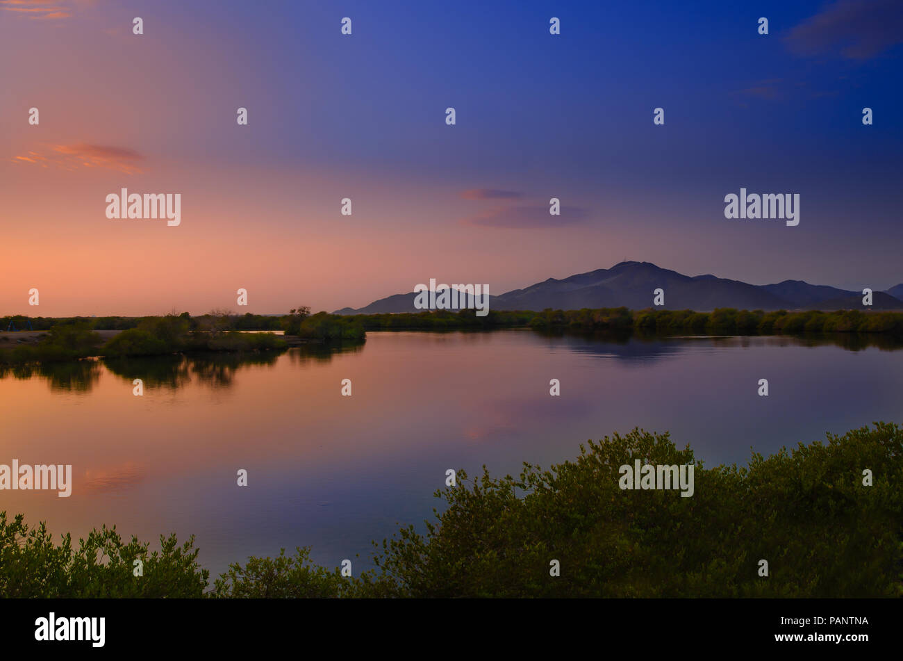 Khor Kalba mangrove reserve during sunrise Stock Photo - Alamy