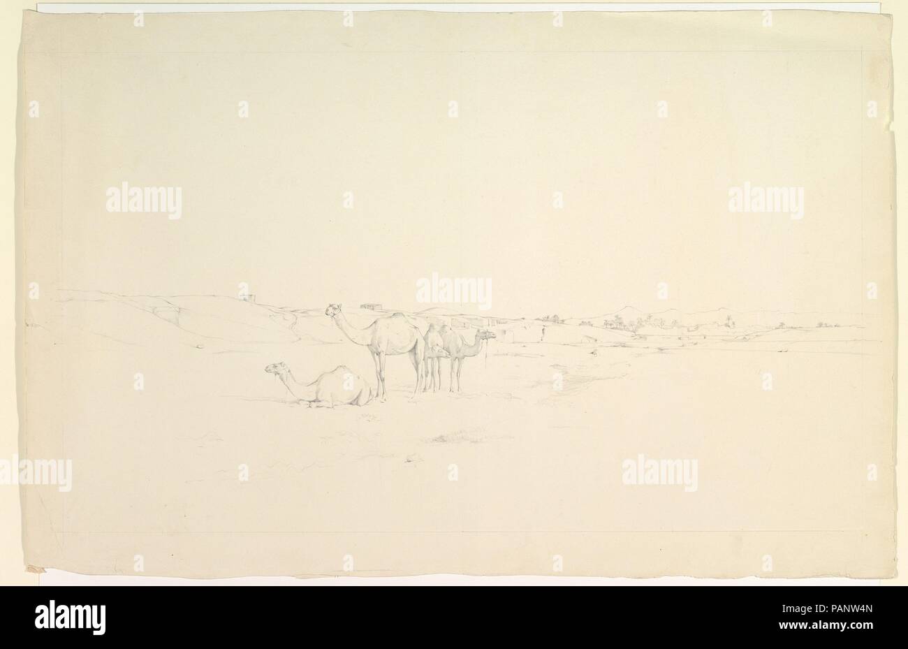 Camels in a landscape. Artist: Howard Carter (British, London 1873-1939 ...