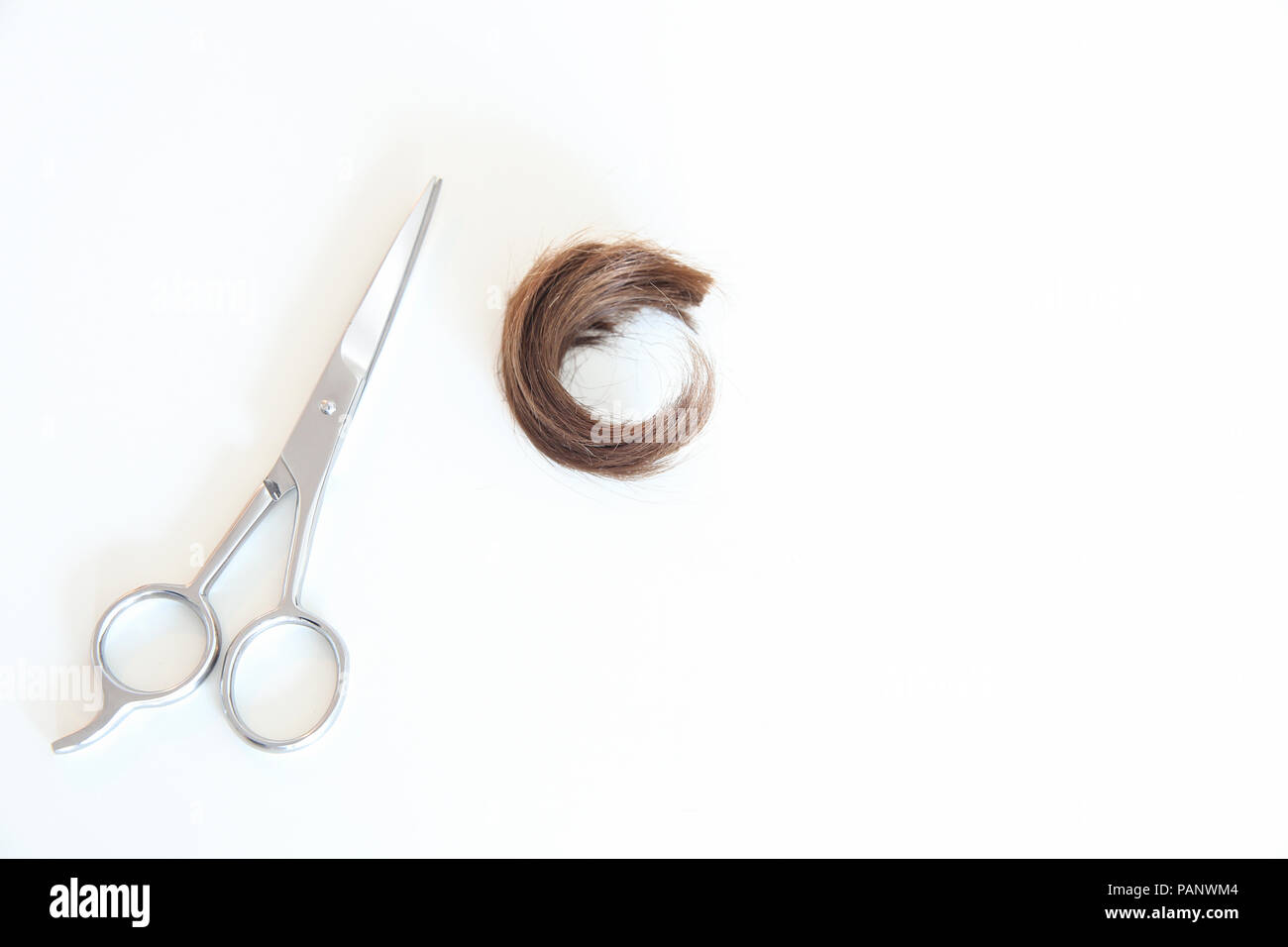 Lock of hair and a haircut scissor in a white background Stock Photo ...