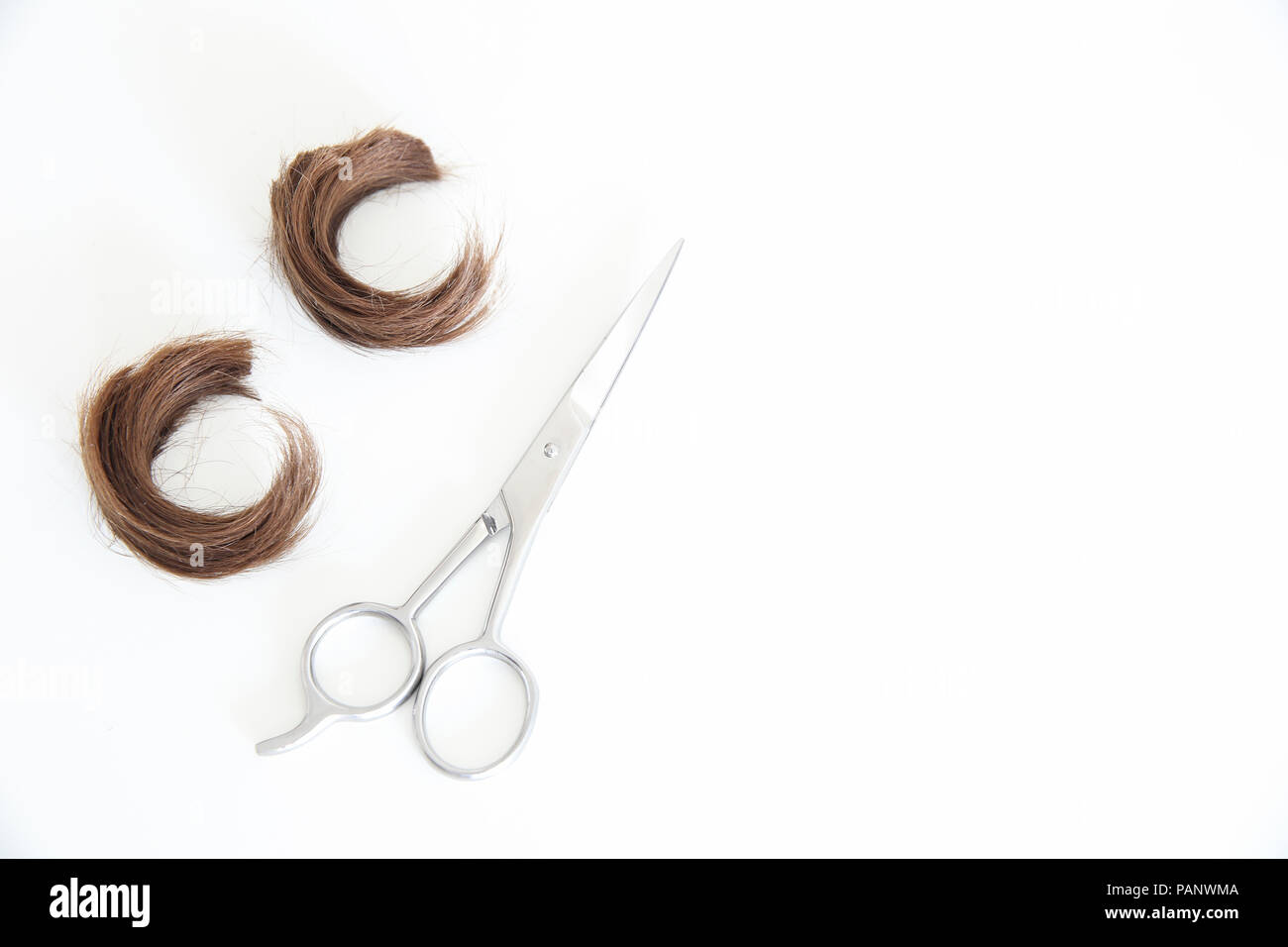 Lock of hair and a haircut scissor in a white background Stock Photo ...