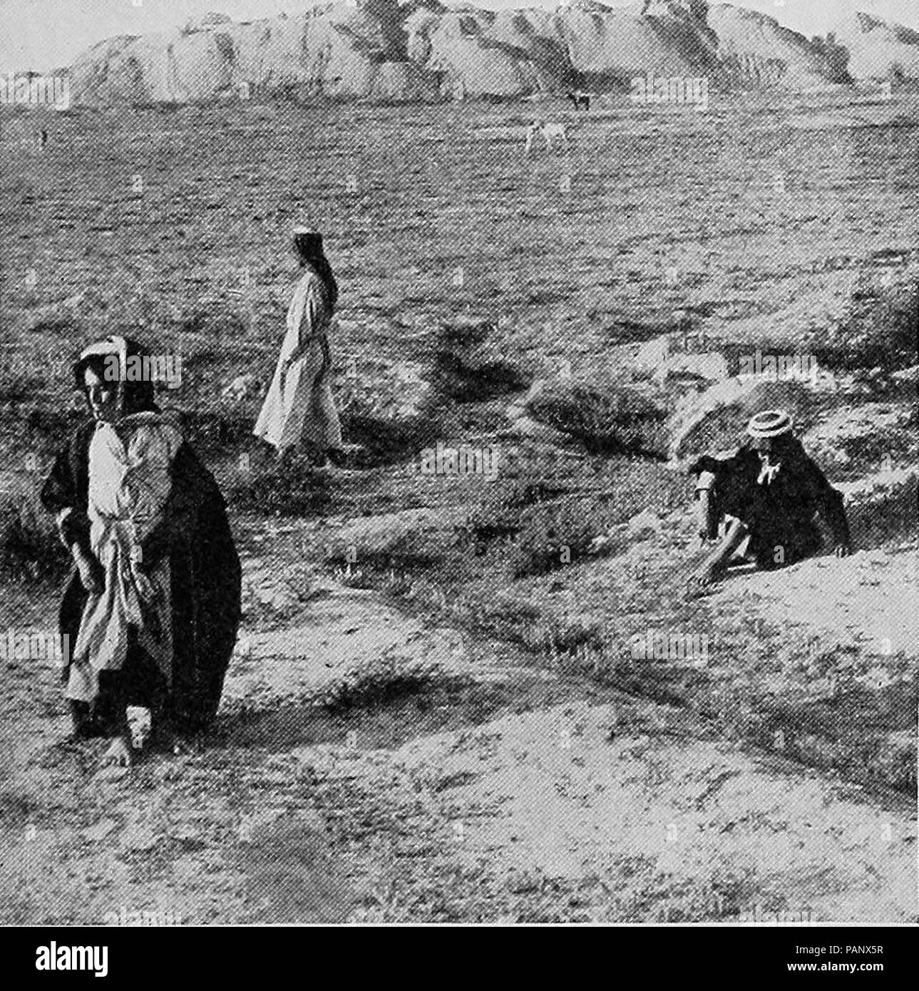 Safavid history Black and White Stock Photos & Images - Alamy