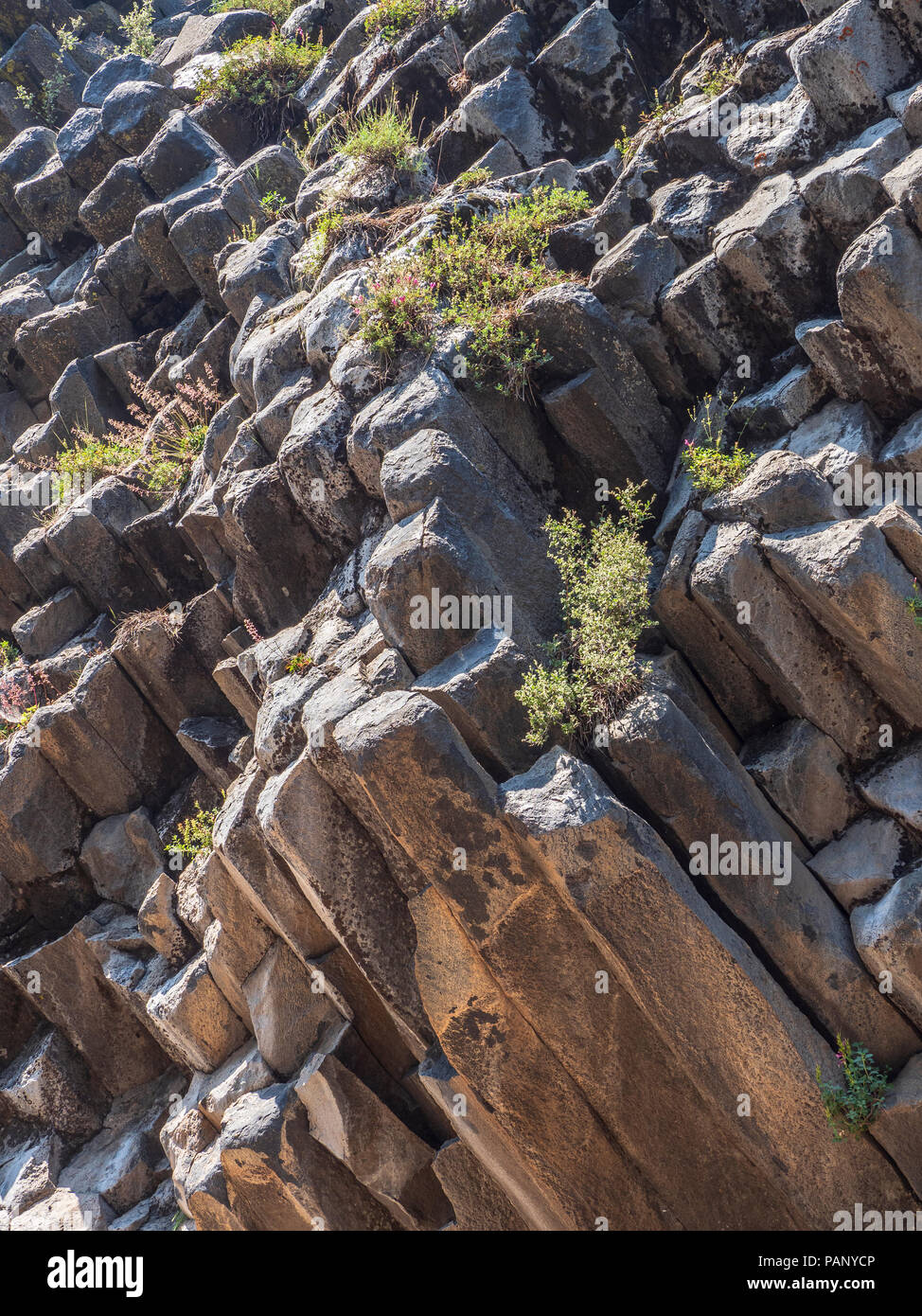 Basalt columns, Devil's Postpile National Monument near Mammoth Lakes ...