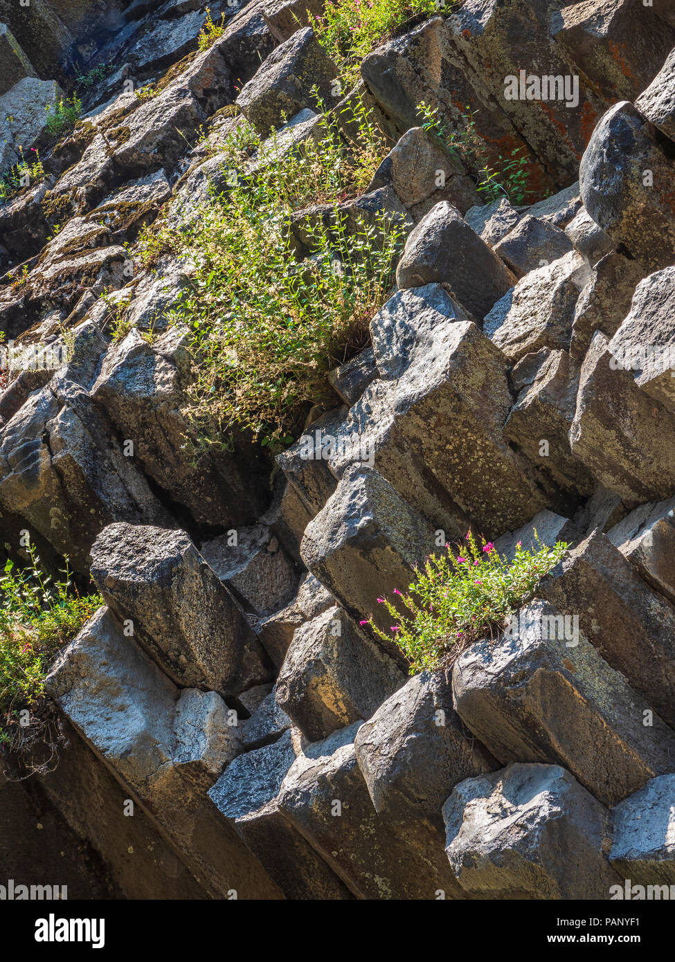 Basalt columns, Devil's Postpile National Monument near Mammoth Lakes ...