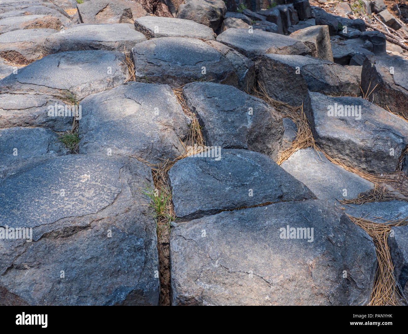 Top of the columns, Devil's Postpile National Monument near Mammoth ...