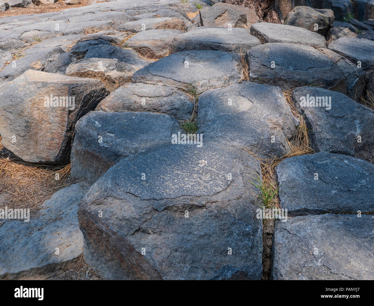 Top of the columns, Devil's Postpile National Monument near Mammoth ...