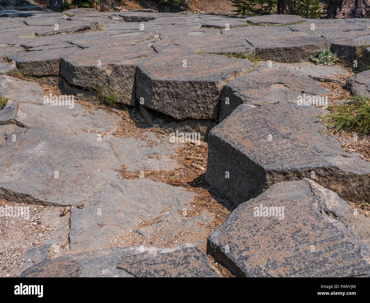 Top of the columns, Devil's Postpile National Monument near Mammoth ...
