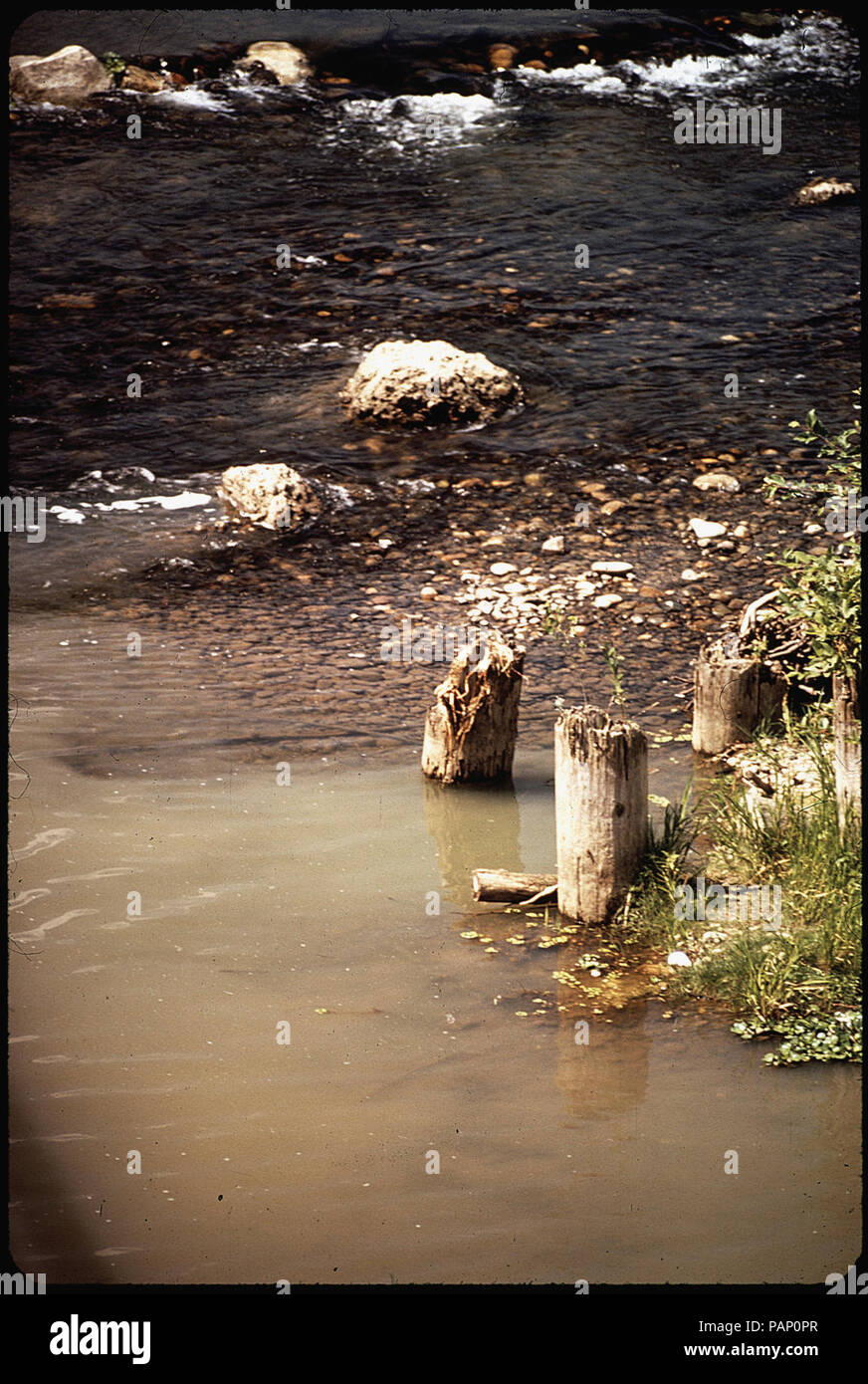 A SILT-LADEN STREAM JOINS THE MERCED RIVER AT THIS POINT. THE SOURCE OF ...