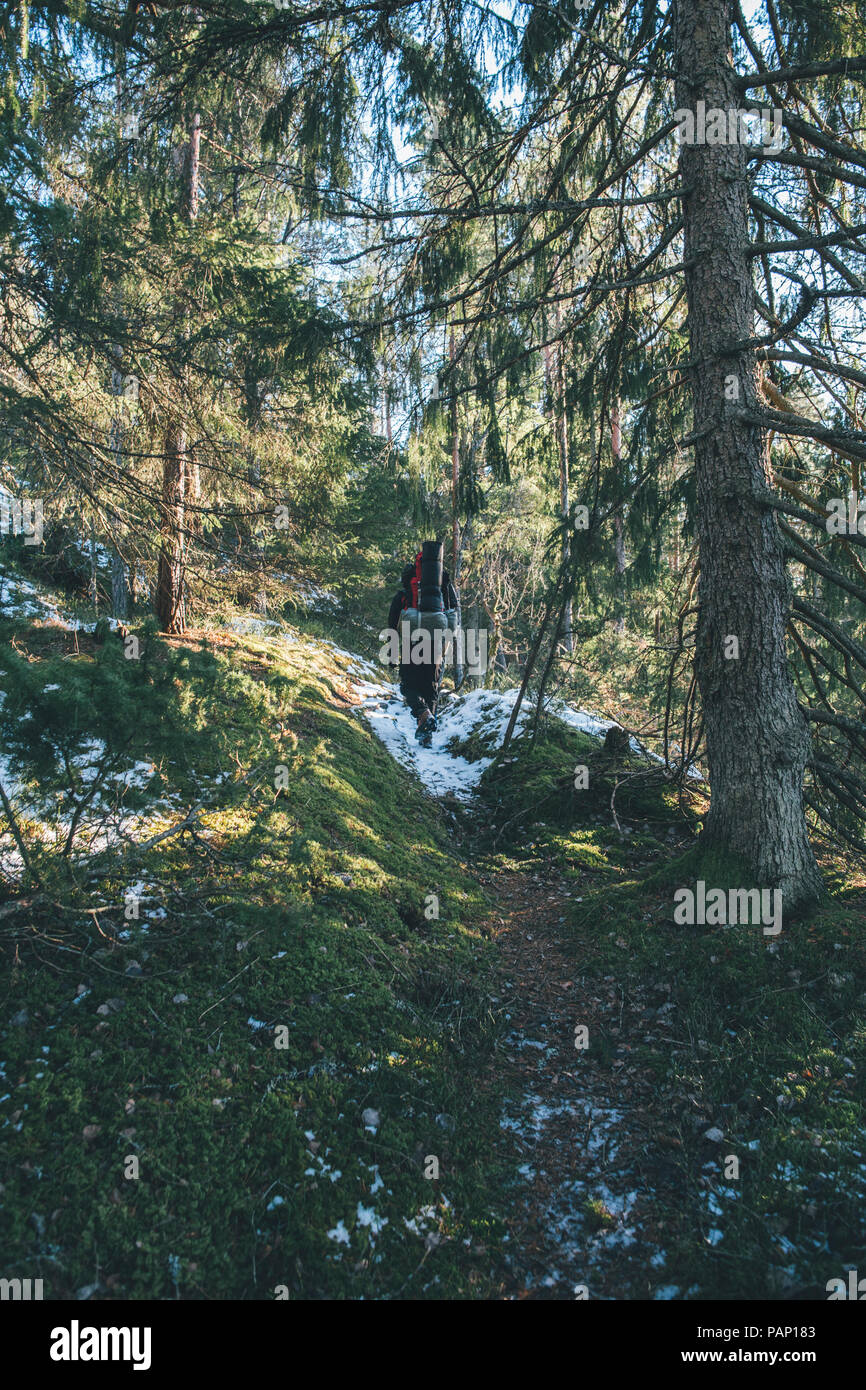 Sweden, Sodermanland, backpacker hiking in remote forest in winter ...