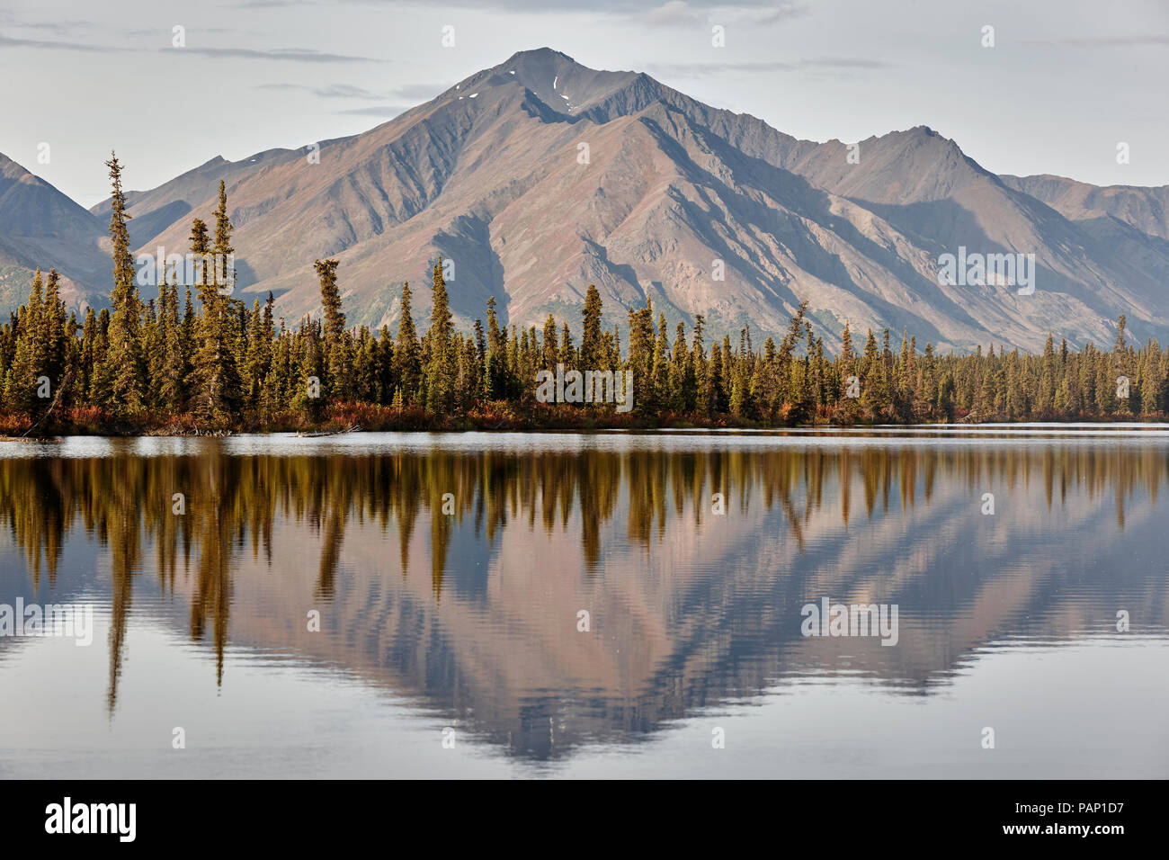 Alaska parks road hi-res stock photography and images - Alamy