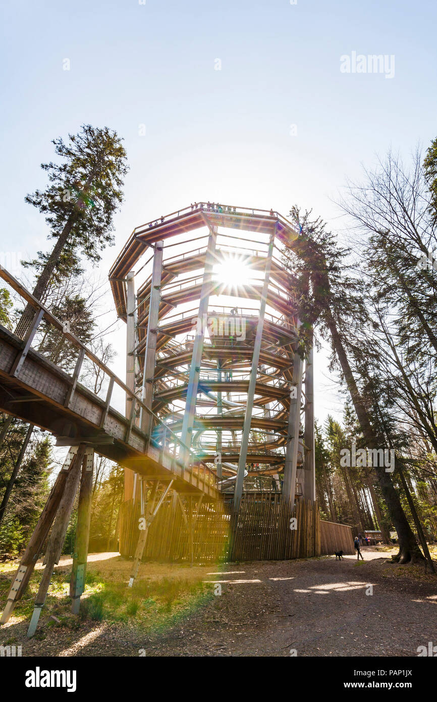Germany, Bad Wildbad, Black Forest, Canopy Walk Black Forest against ...