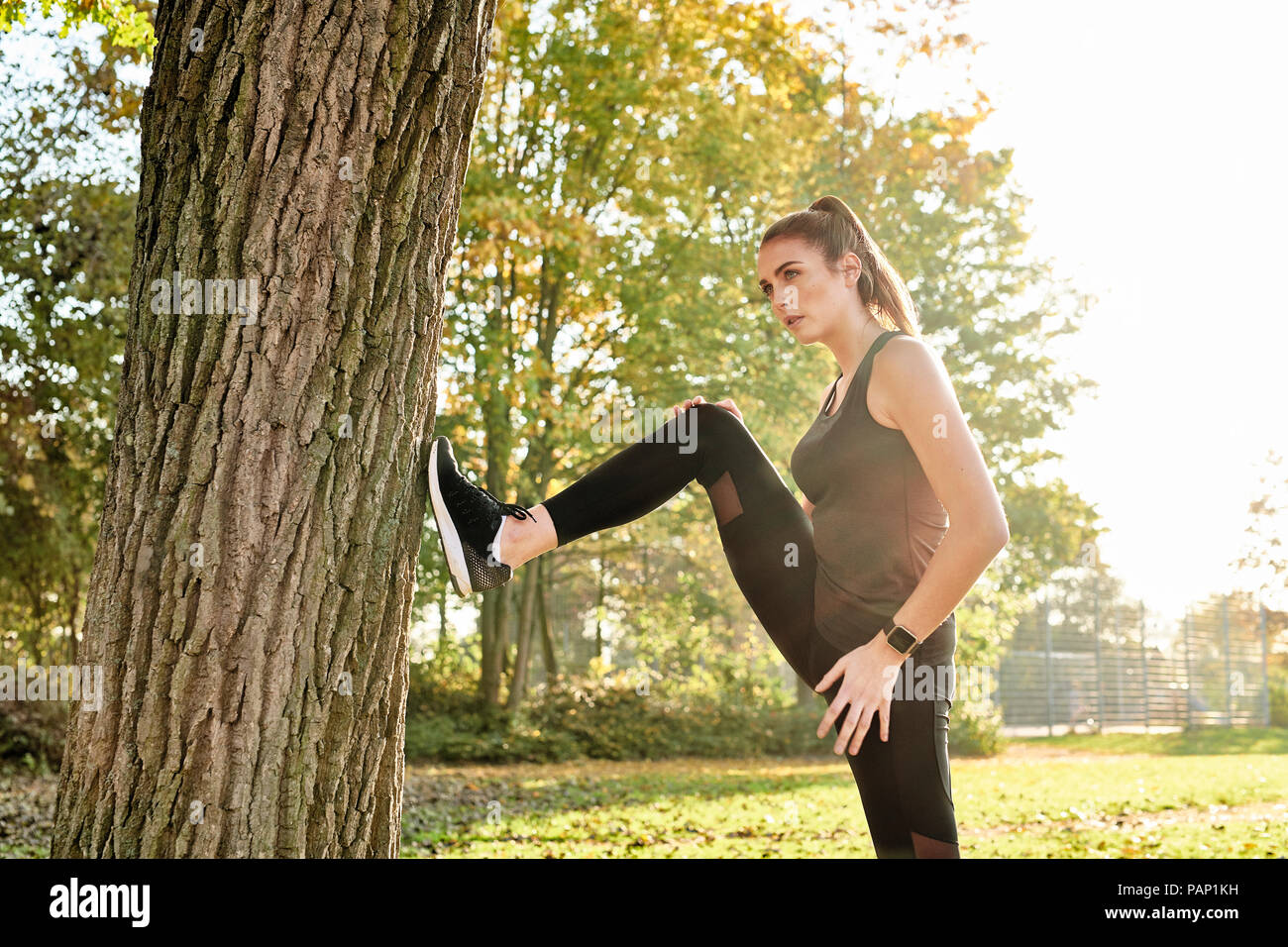 Tree trunk legs hi-res stock photography and images - Alamy