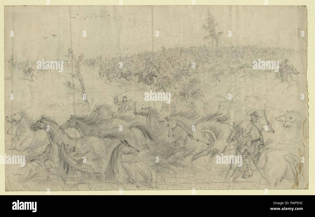 A stampede of army horses Stock Photo - Alamy