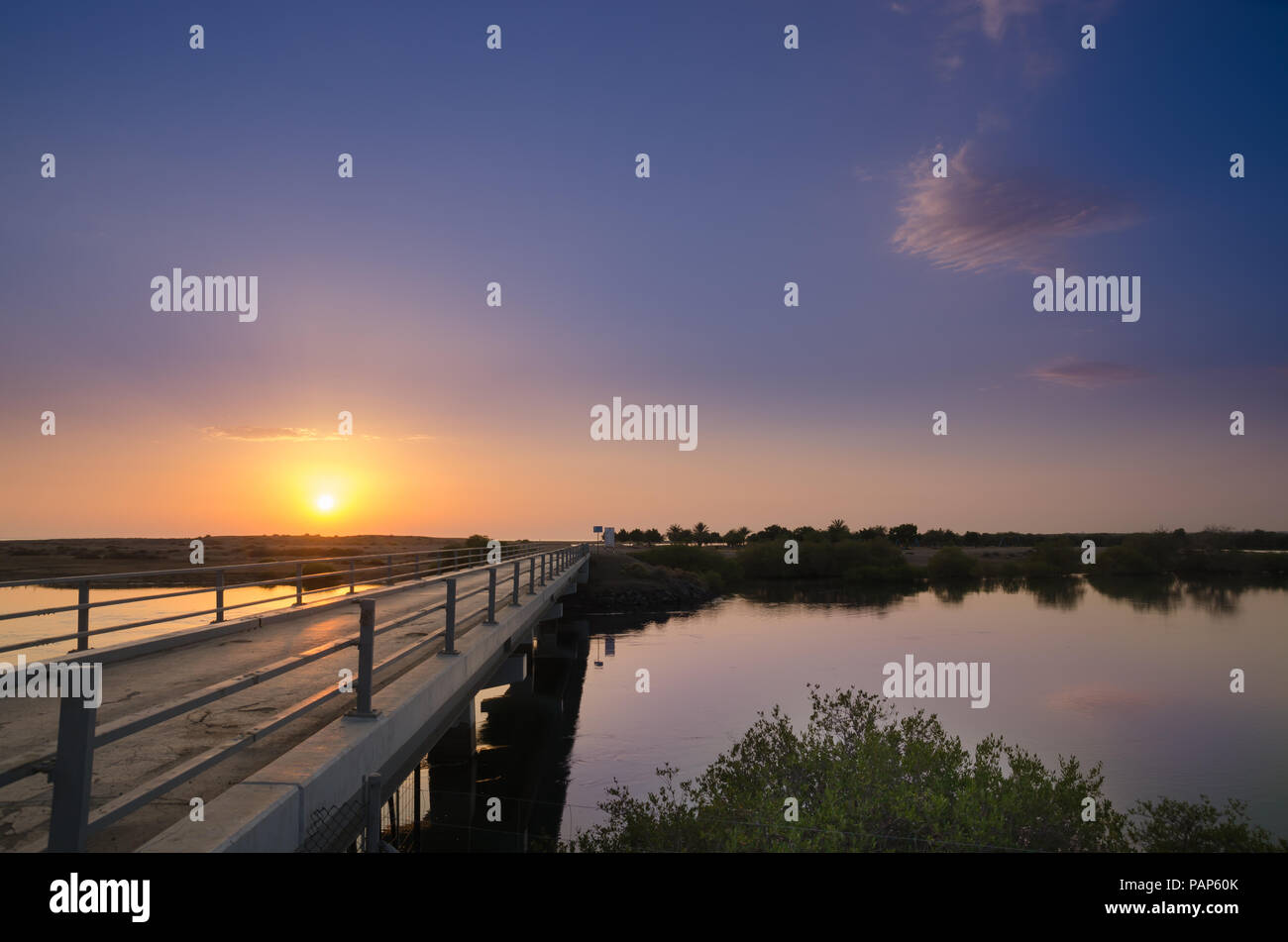 Bridge at Khor Kalba mangrove reserve during sunrise Stock Photo - Alamy