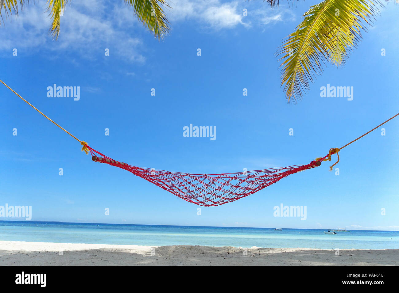 Red rope hammock between palm trees on a pristine white sand beach ...