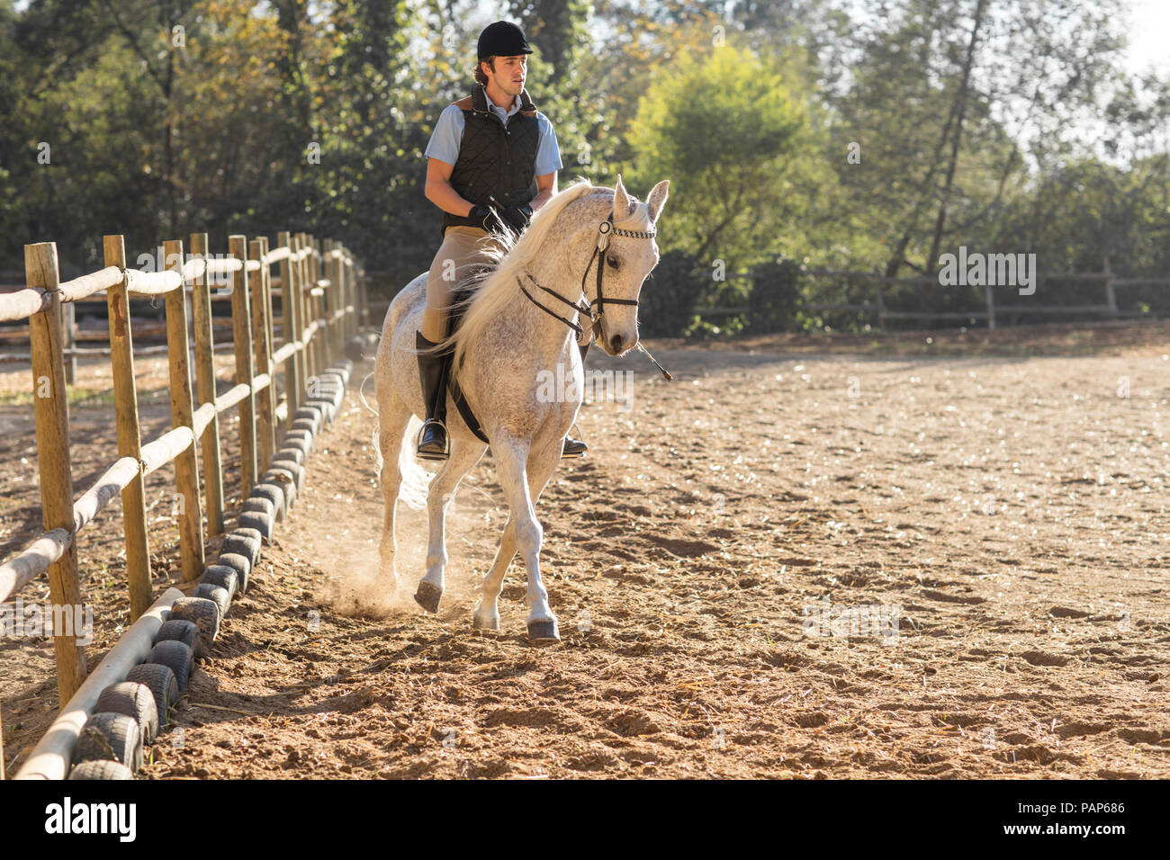 Man riding horse on riding ring Stock Photo - Alamy