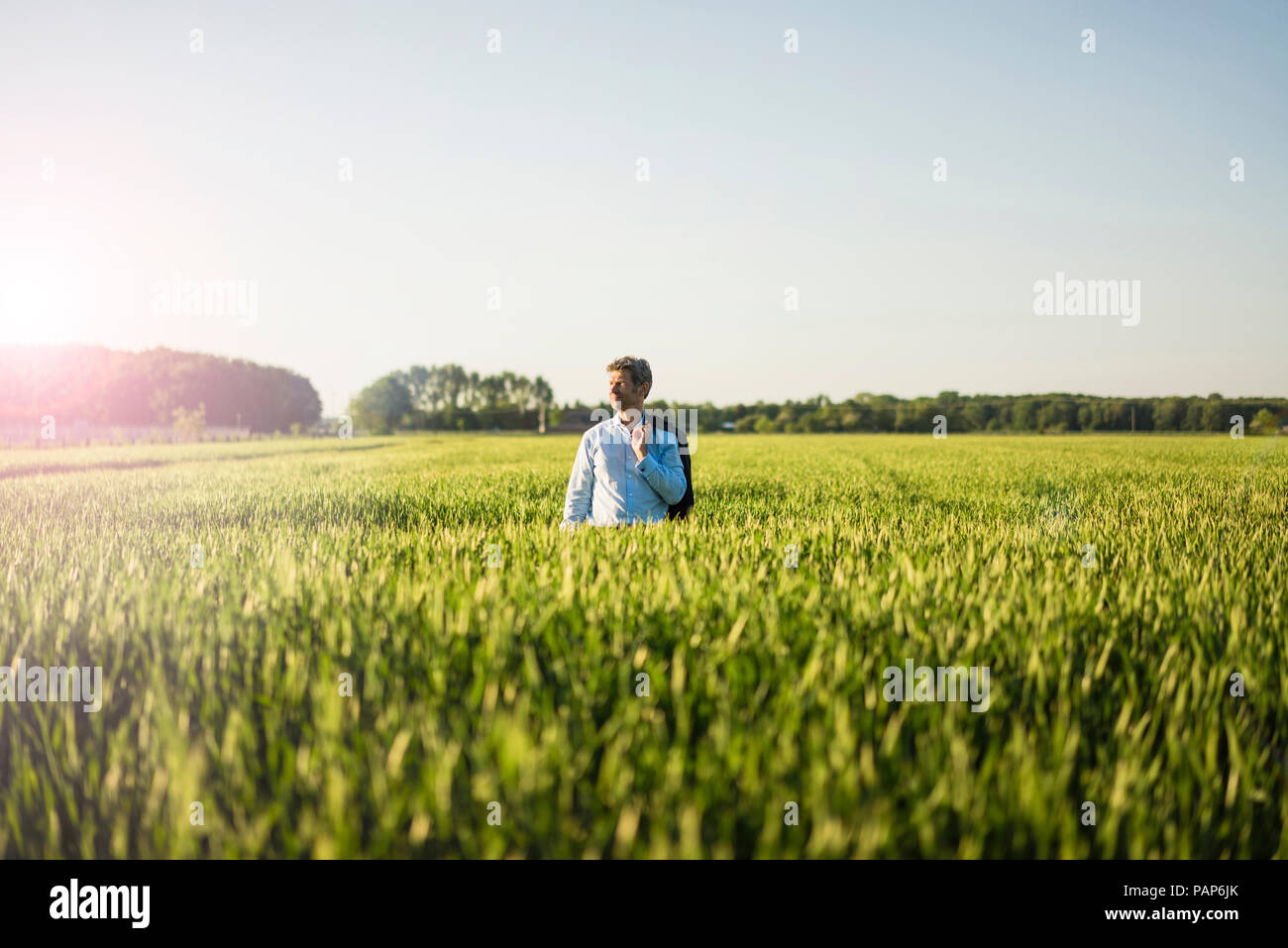 Businessman standing grain field hi-res stock photography and images ...