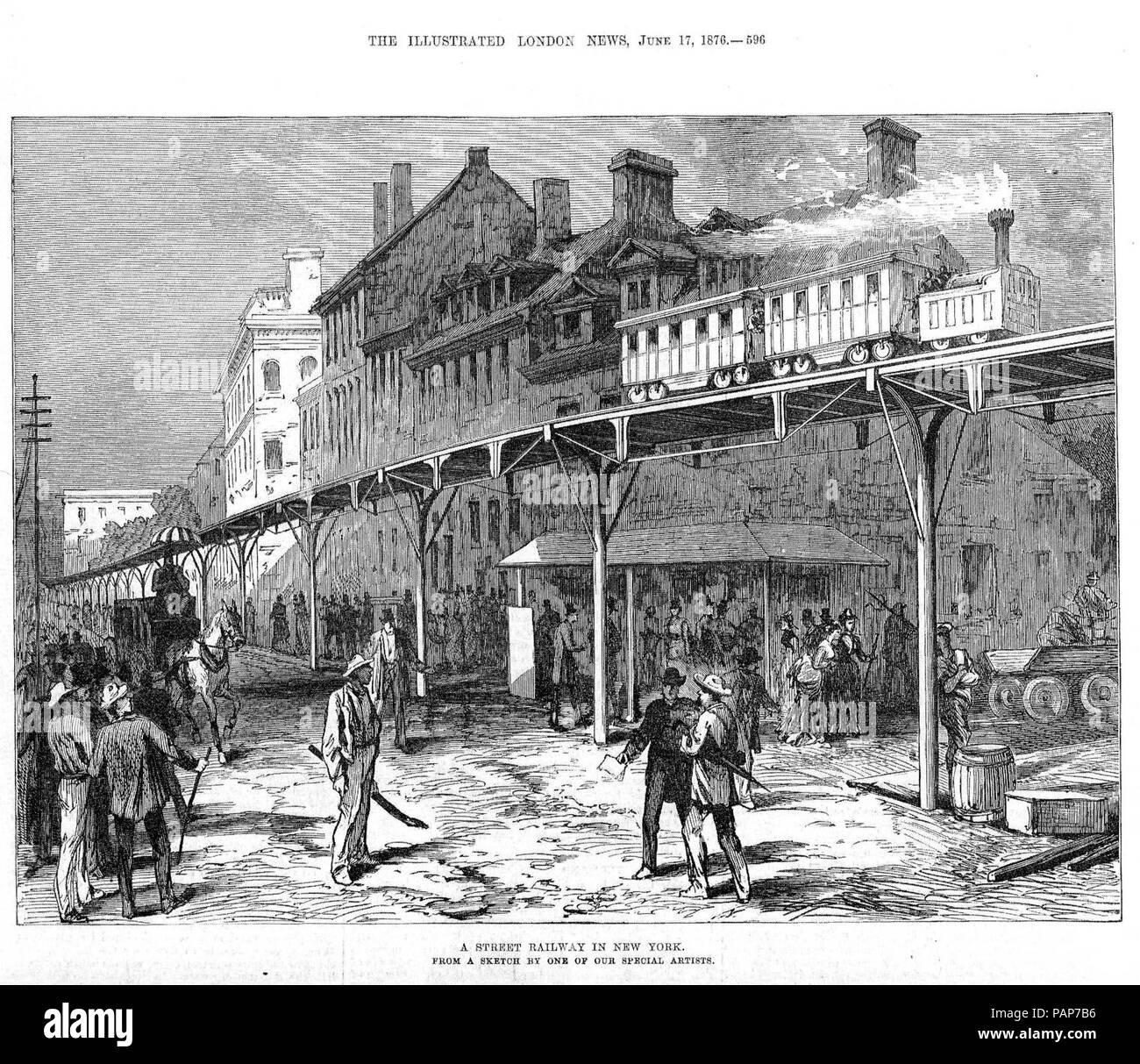 Vintage engraving collection oak Black and White Stock Photos & Images ...