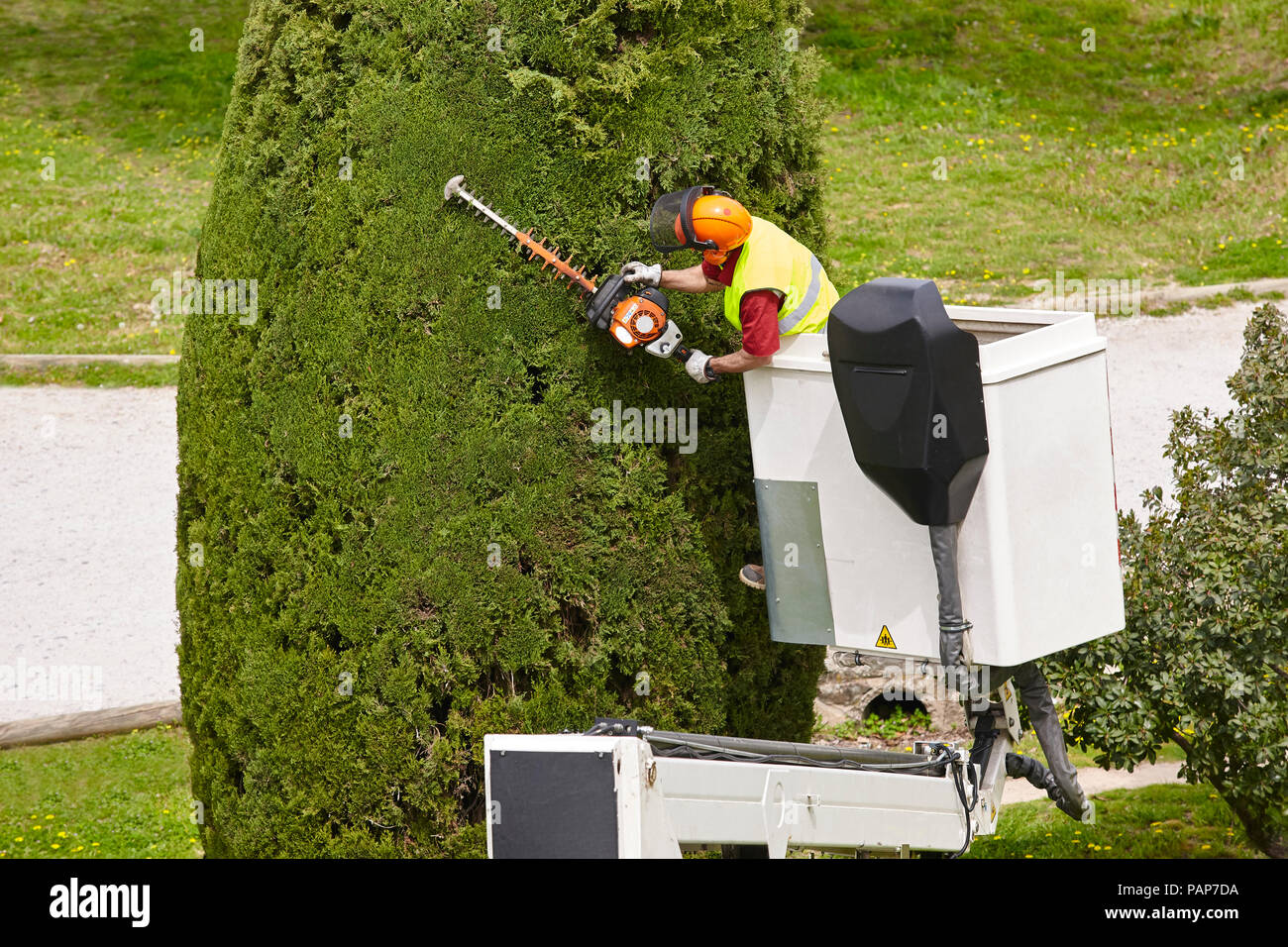 Equiped worker pruning a tree on a crane. Gardening works Stock Photo ...