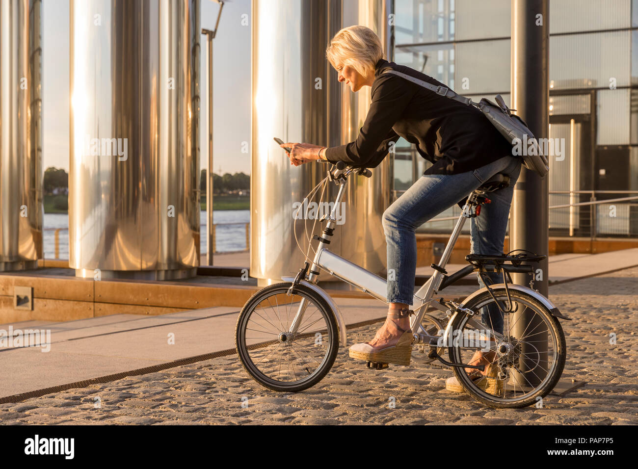 Cell life cycle hi-res stock photography and images - Alamy
