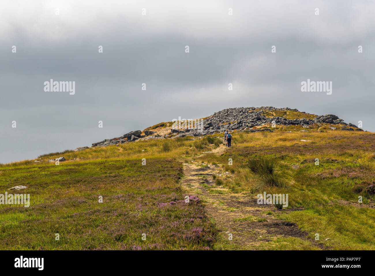 Approaching the summit of the Blorenge in the Brecon Beacons Stock ...