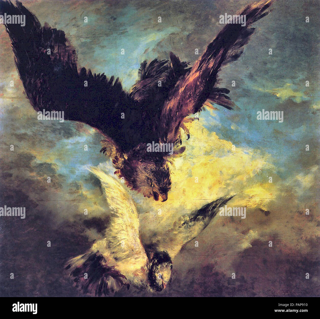 Menzel Adolph Von - Falcon Swooping on a Dove Stock Photo - Alamy