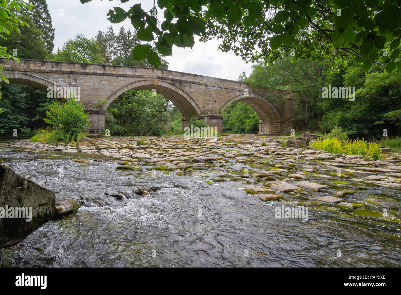 Low water levels on the River Allen Stock Photo - Alamy