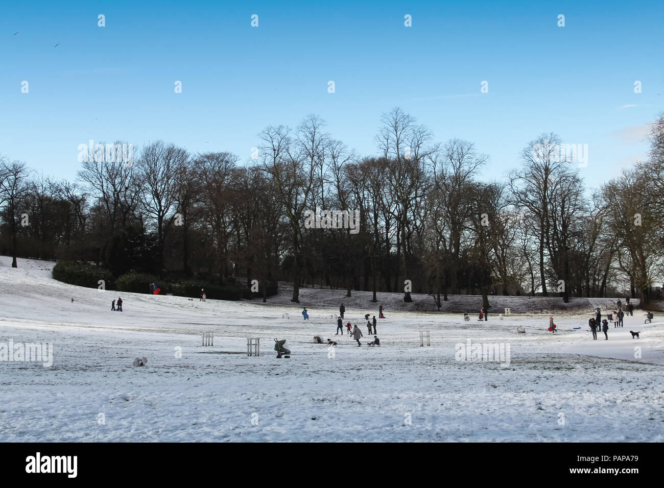 People playing in the snow Stock Photo - Alamy