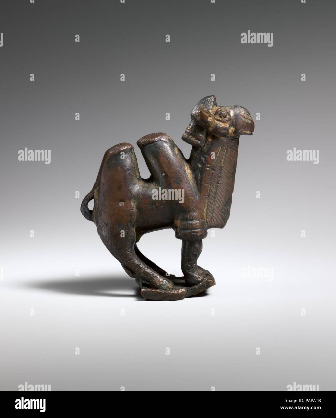 Ancient bactria hi-res stock photography and images - Alamy