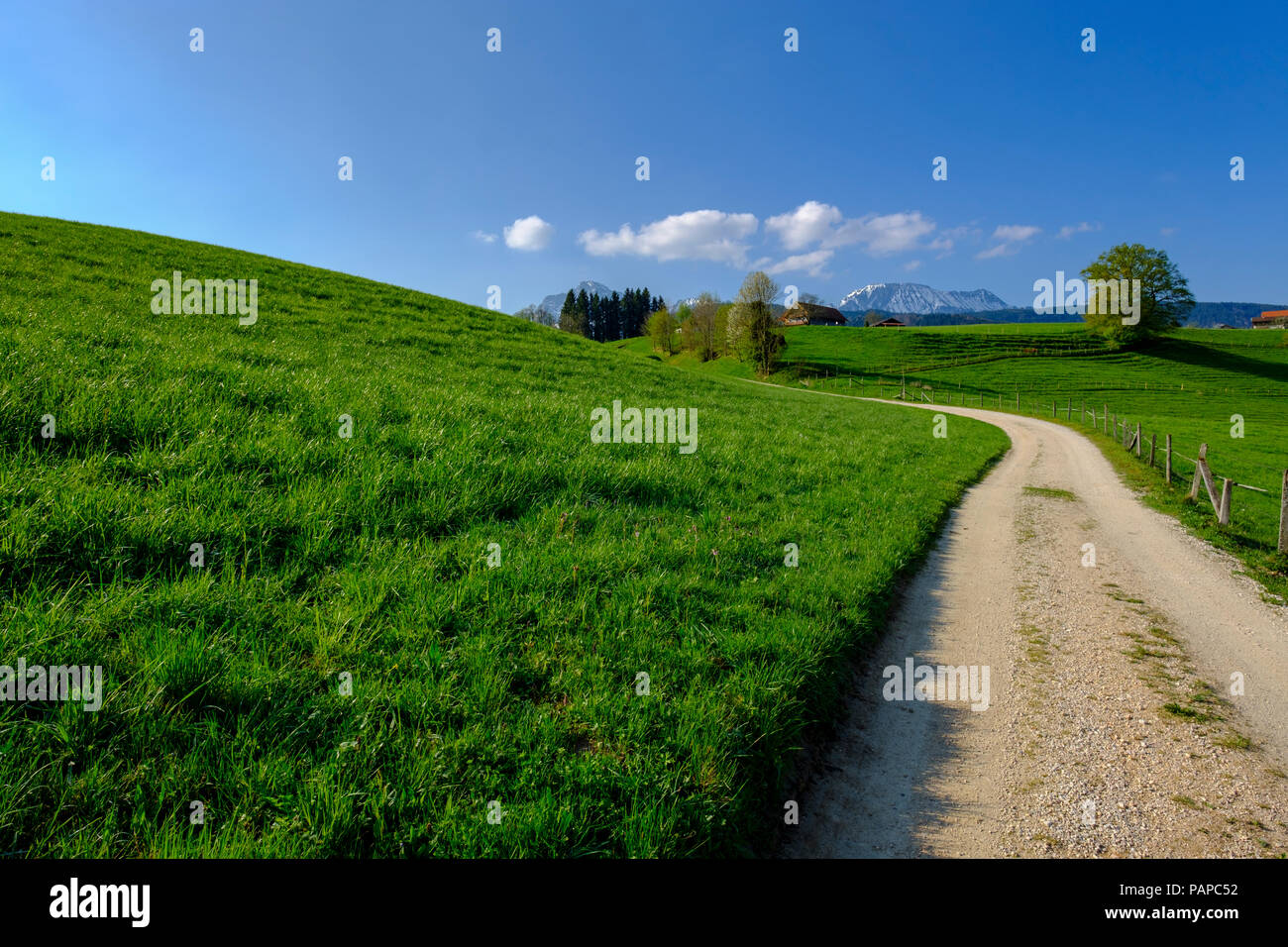 Germany, Bavaria, Upper Bavaria, Chiemgau, Rupertiwinkel, country road ...