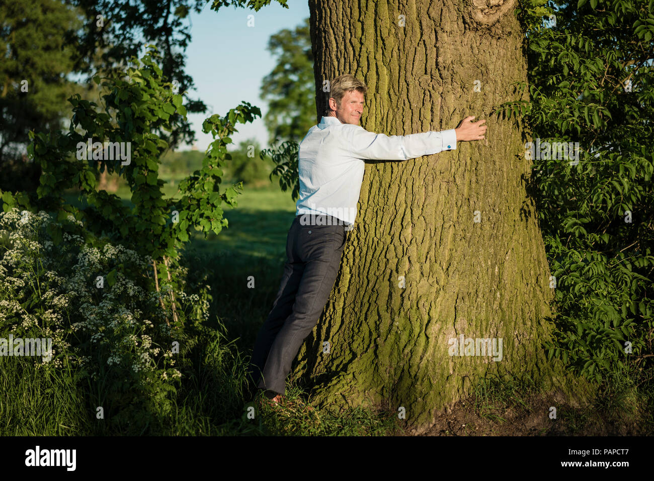 Man tree hugging Stock Photo - Alamy