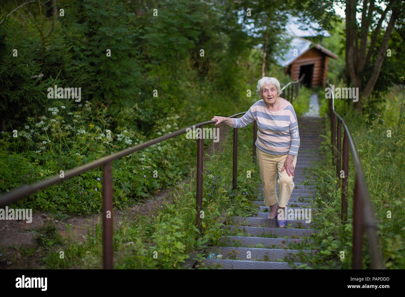 Elderly woman walks in park hi-res stock photography and images - Alamy