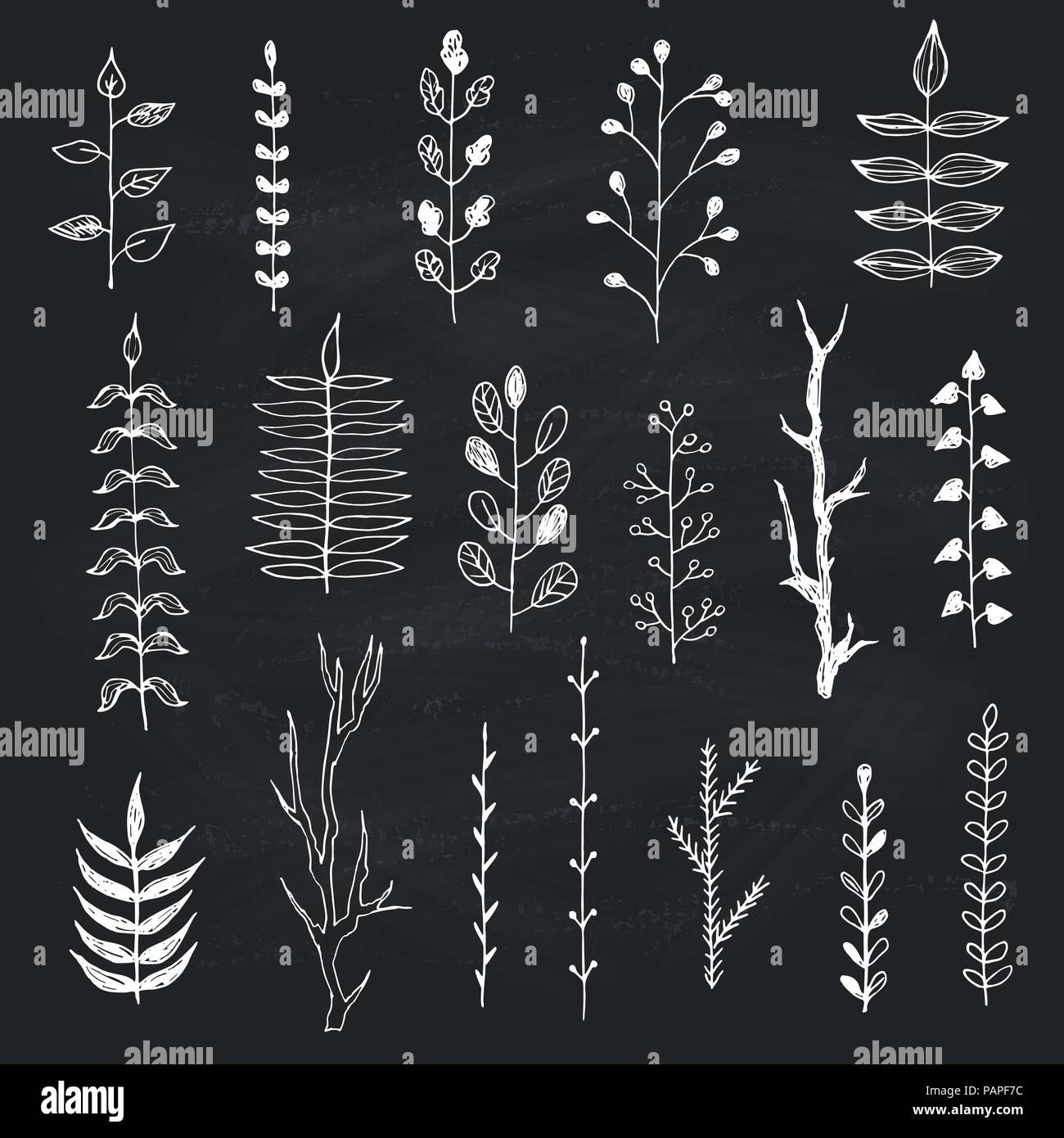 vector branches collection Stock Vector Image & Art - Alamy