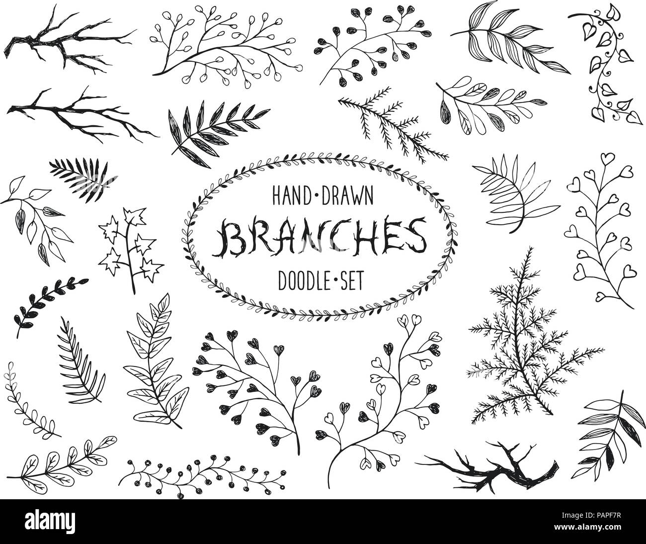 vector branches collection Stock Vector Image & Art - Alamy