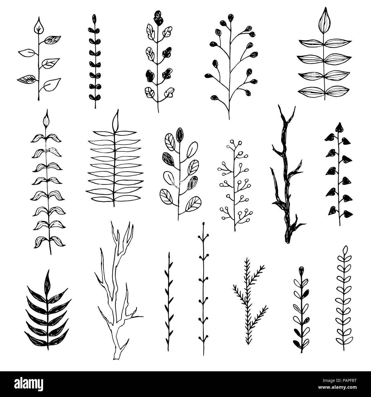 vector branches collection Stock Vector Image & Art - Alamy