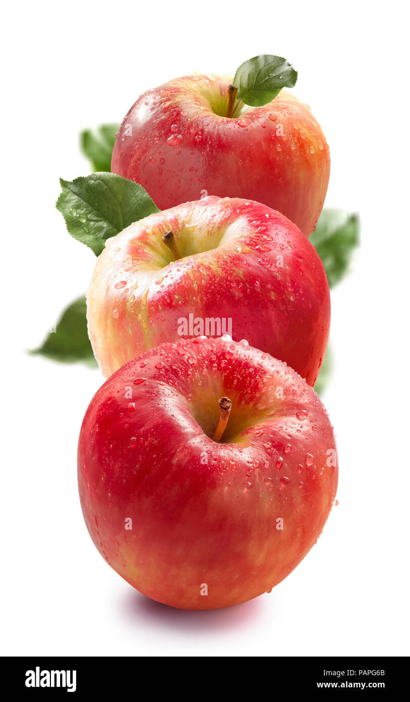 Crunch leaves hi-res stock photography and images - Alamy