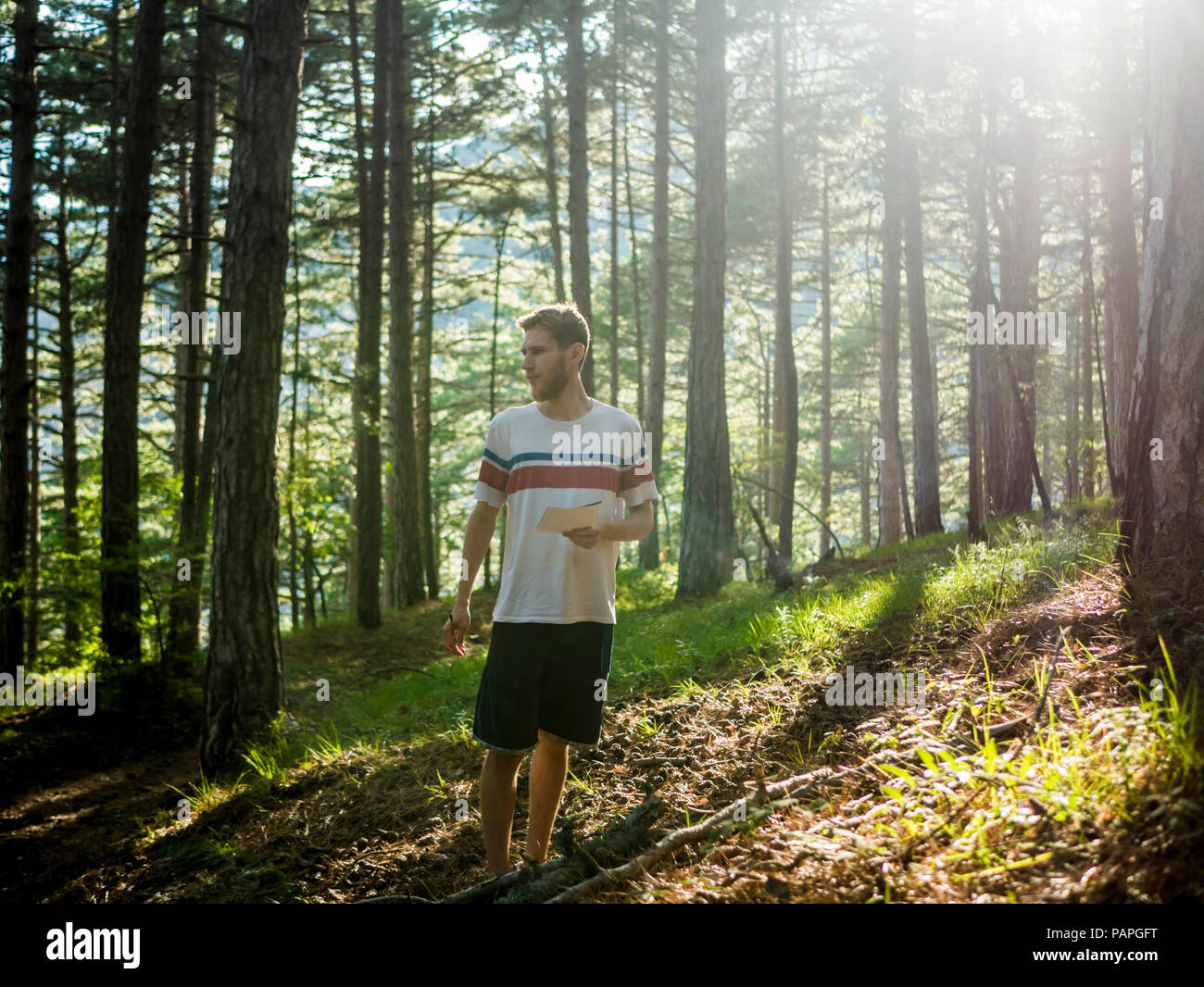 young man poet walking in the forest under the sunshine and write ...