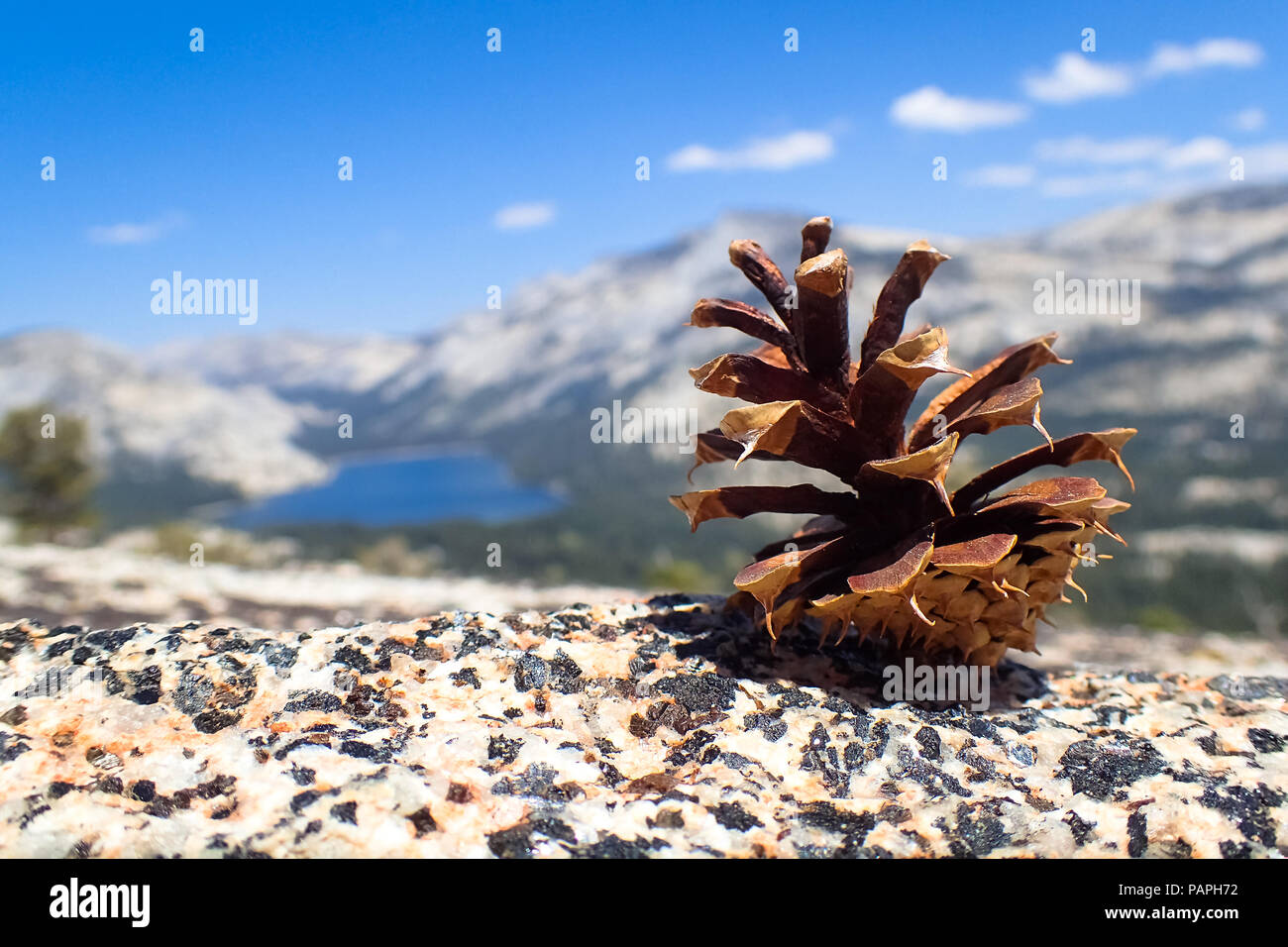 Olmsted point yosemite hi-res stock photography and images - Alamy