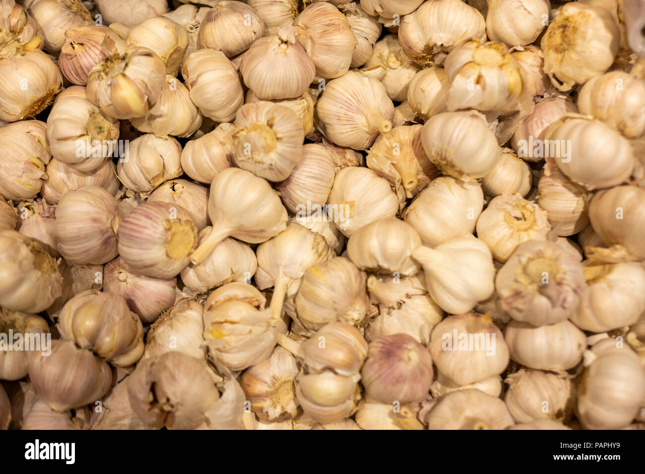 Garlic background texture Stock Photo - Alamy