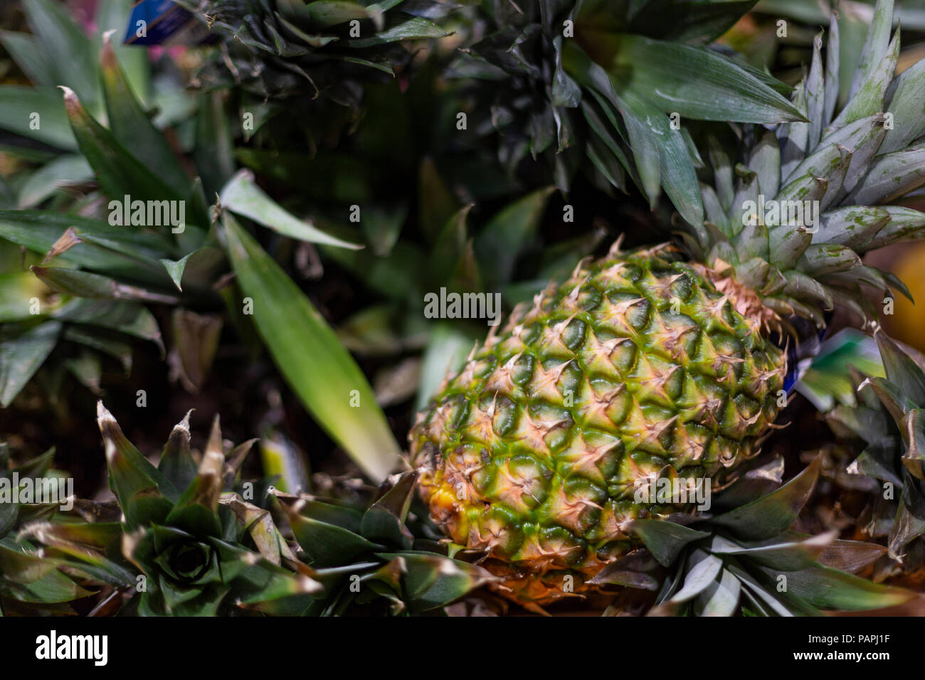 Pineapple background texture Stock Photo - Alamy