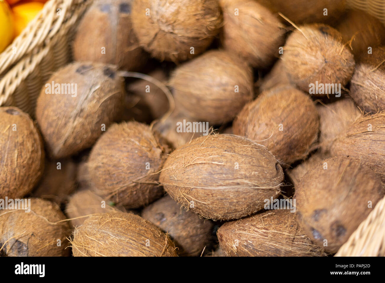 Coconut background texture Stock Photo - Alamy