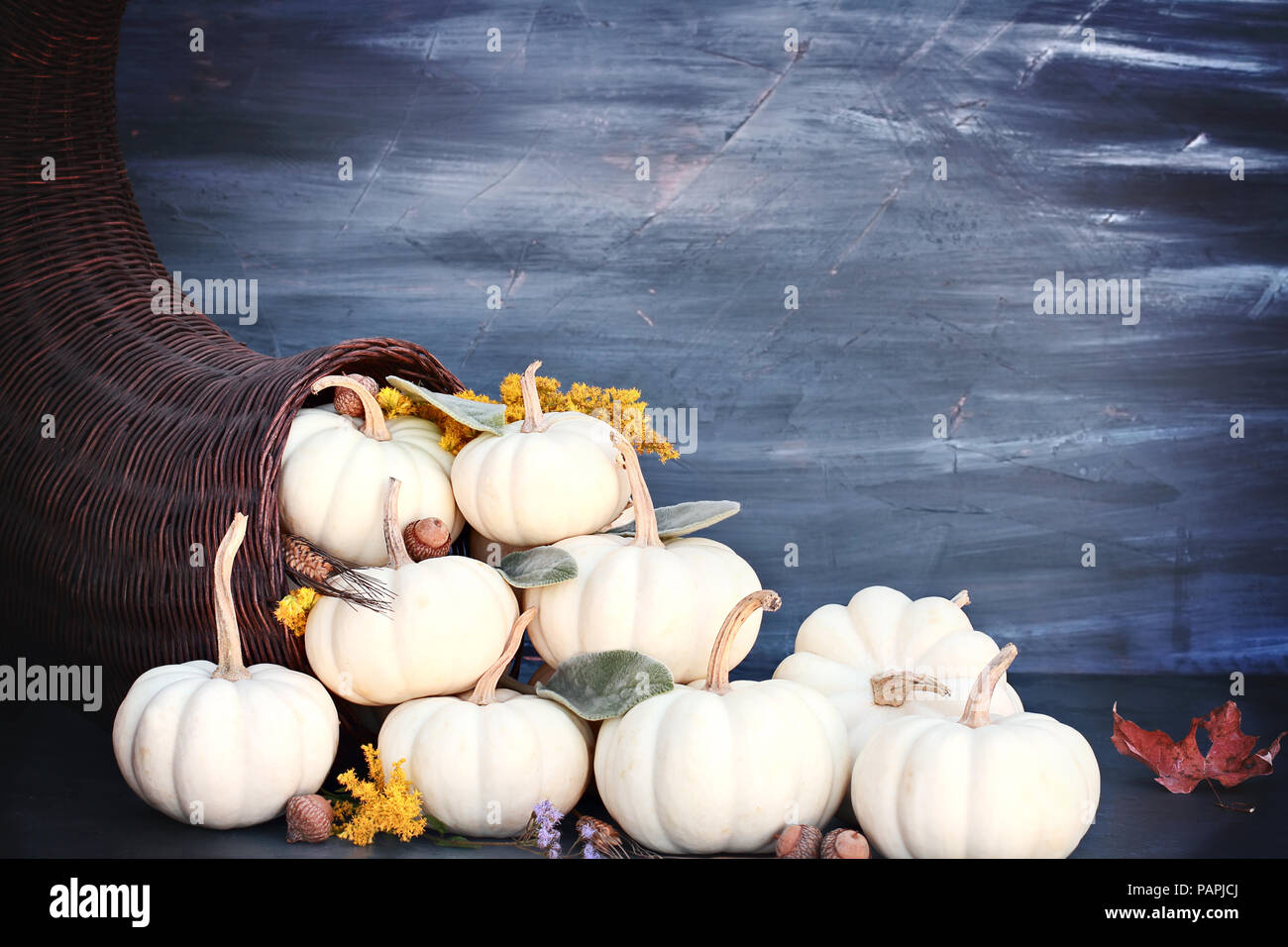 Thanksgiving or Halloween cornucopia or Horn of Plenty against a dark ...