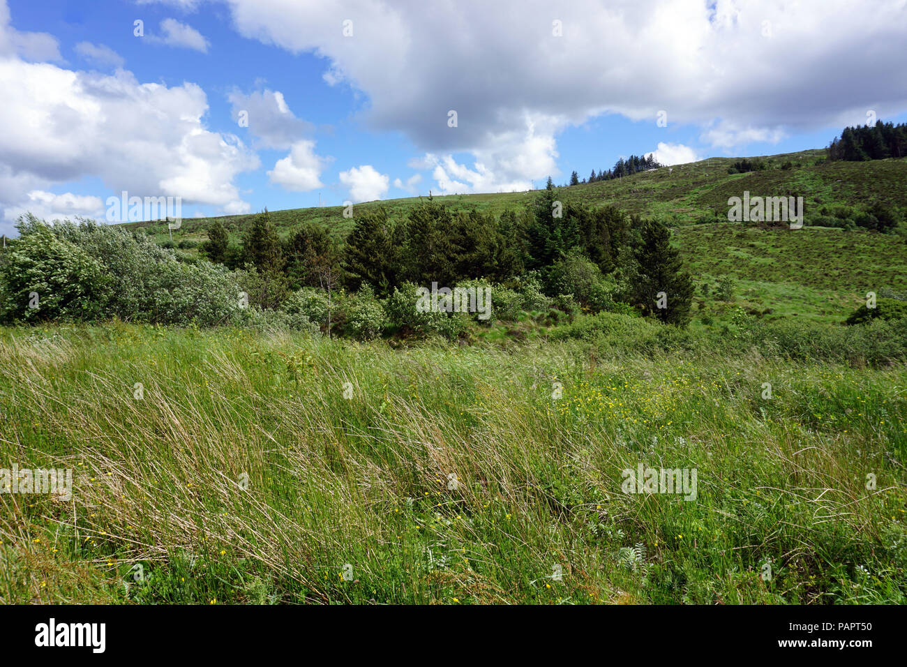 Donegal bluestack mountains hi-res stock photography and images - Alamy