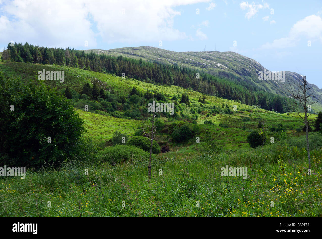 Donegal mountains hi-res stock photography and images - Alamy