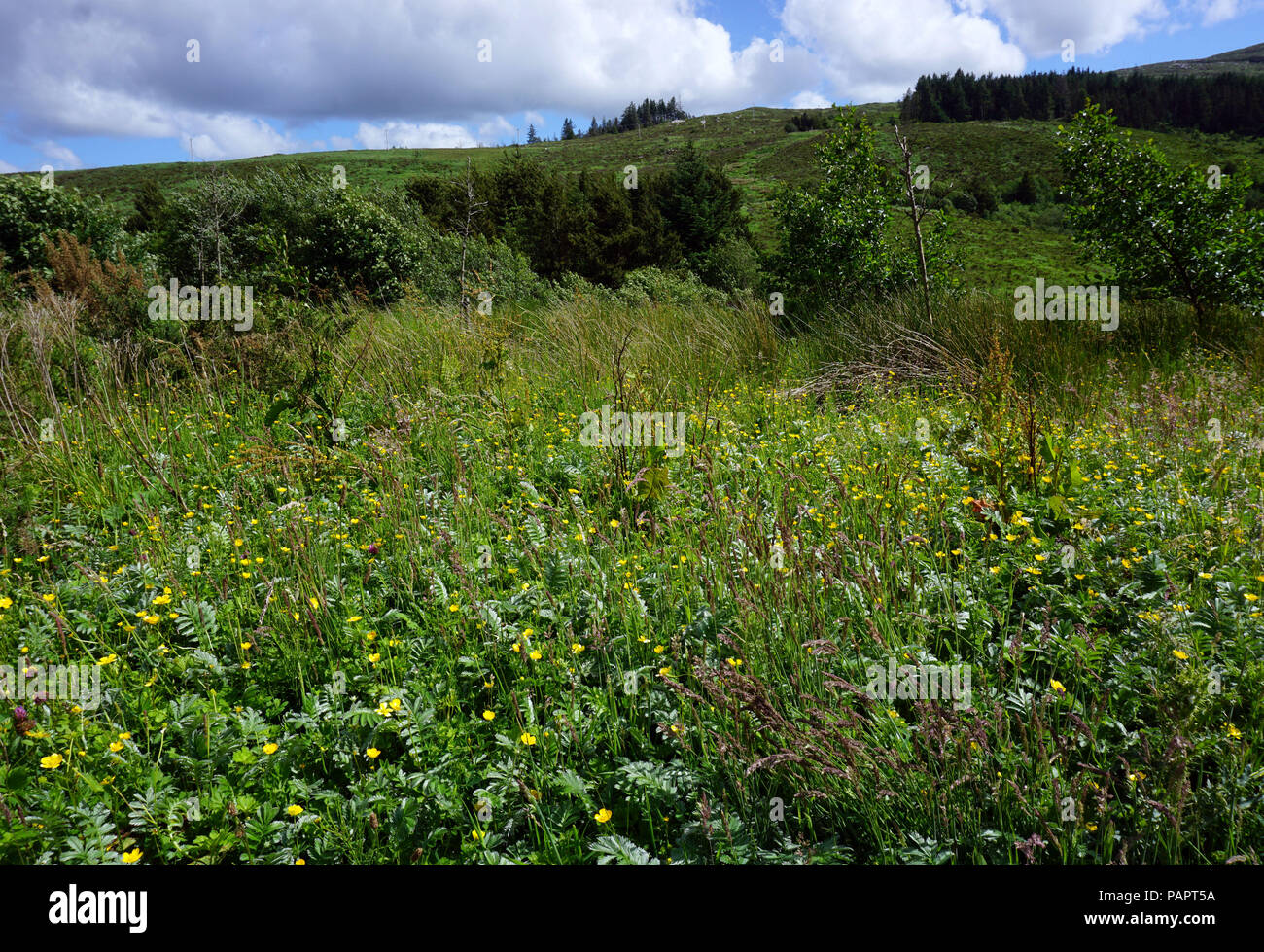 Donegal bluestack mountains hi-res stock photography and images - Alamy