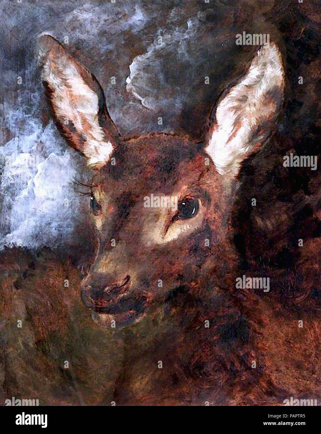 Landseer Sir Edwin Henry - Head of a Hind Stock Photo - Alamy