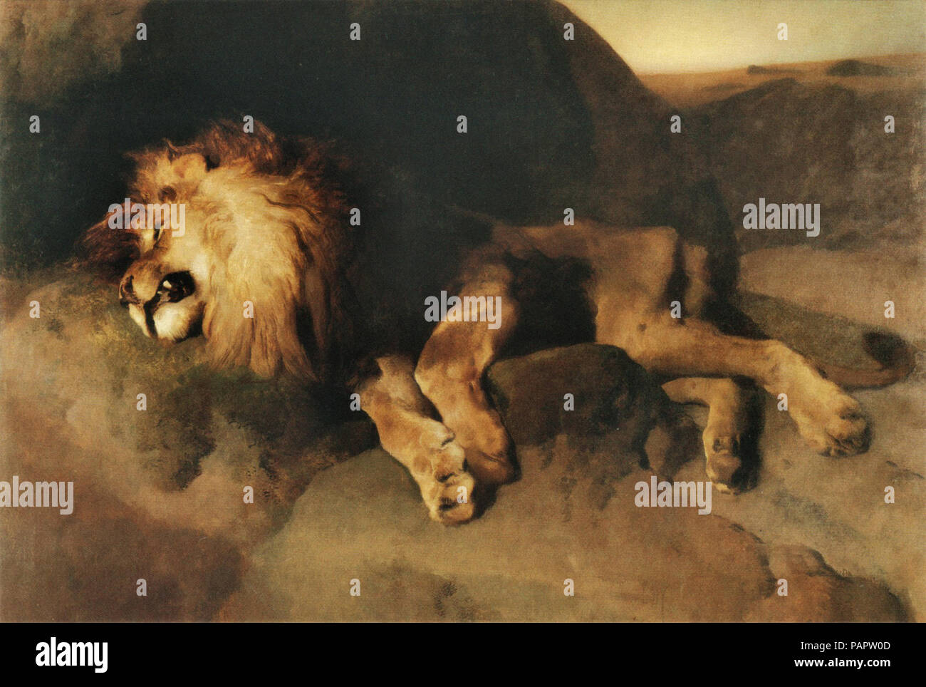 Landseer Sir Edwin Henry - the Fallen Monarch (the Desert Stock Photo ...