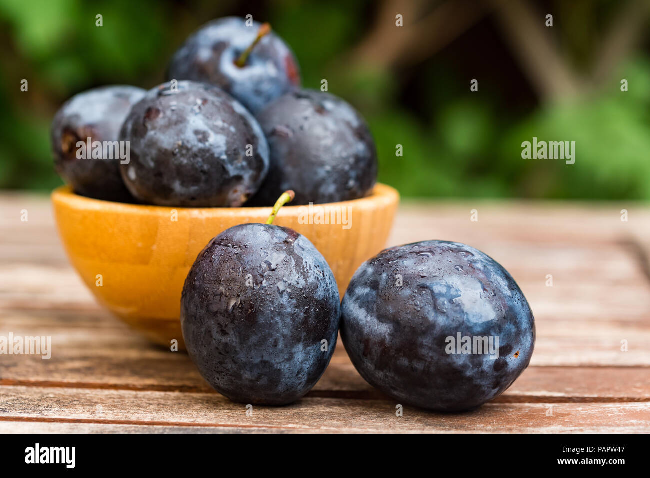 Fresh ripe plums in wooden bowl close Stock Photo - Alamy